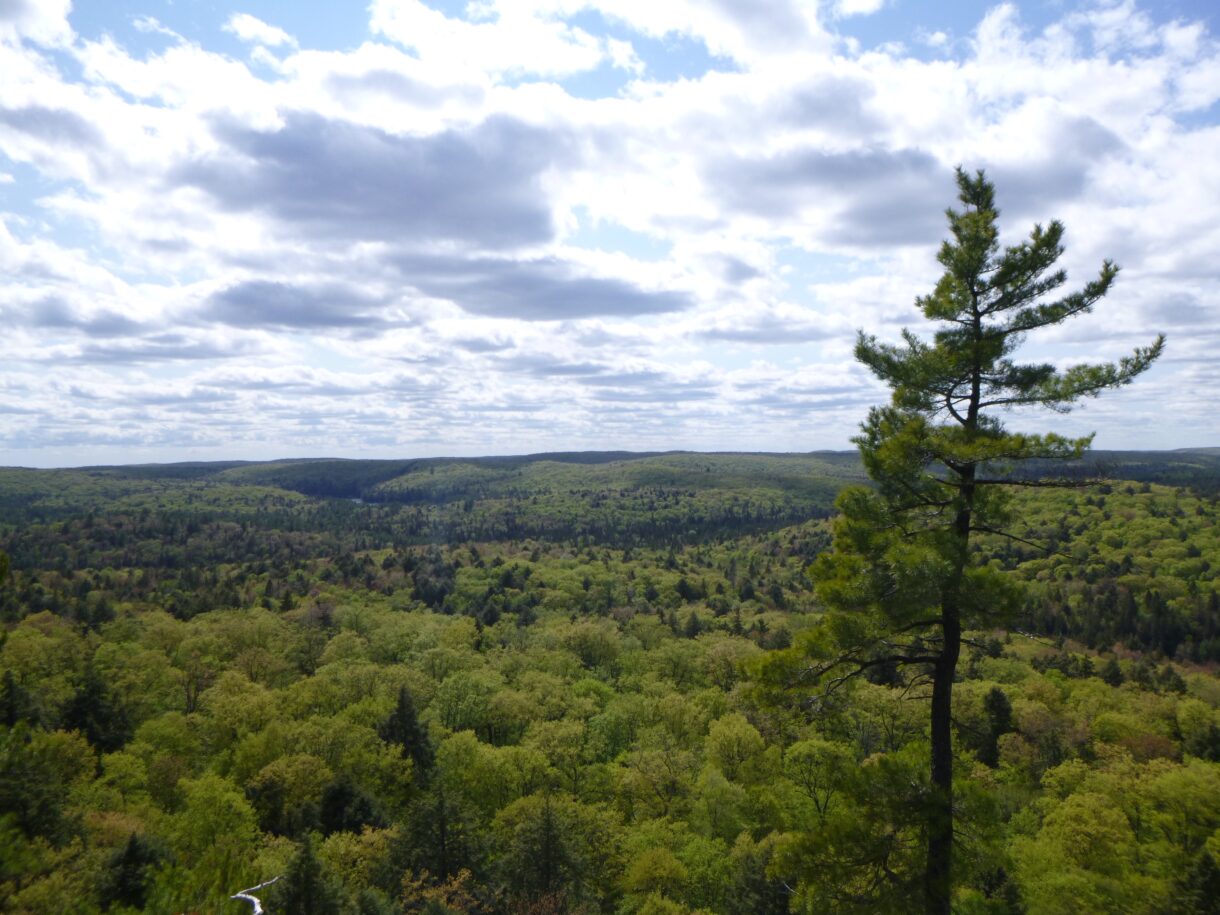 A World Forgotten: Canadian Landscapes