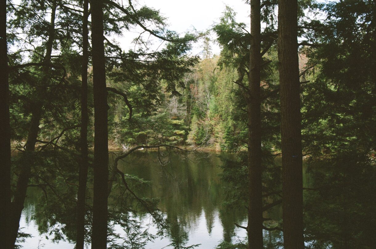 A World Forgotten: Canadian Landscapes