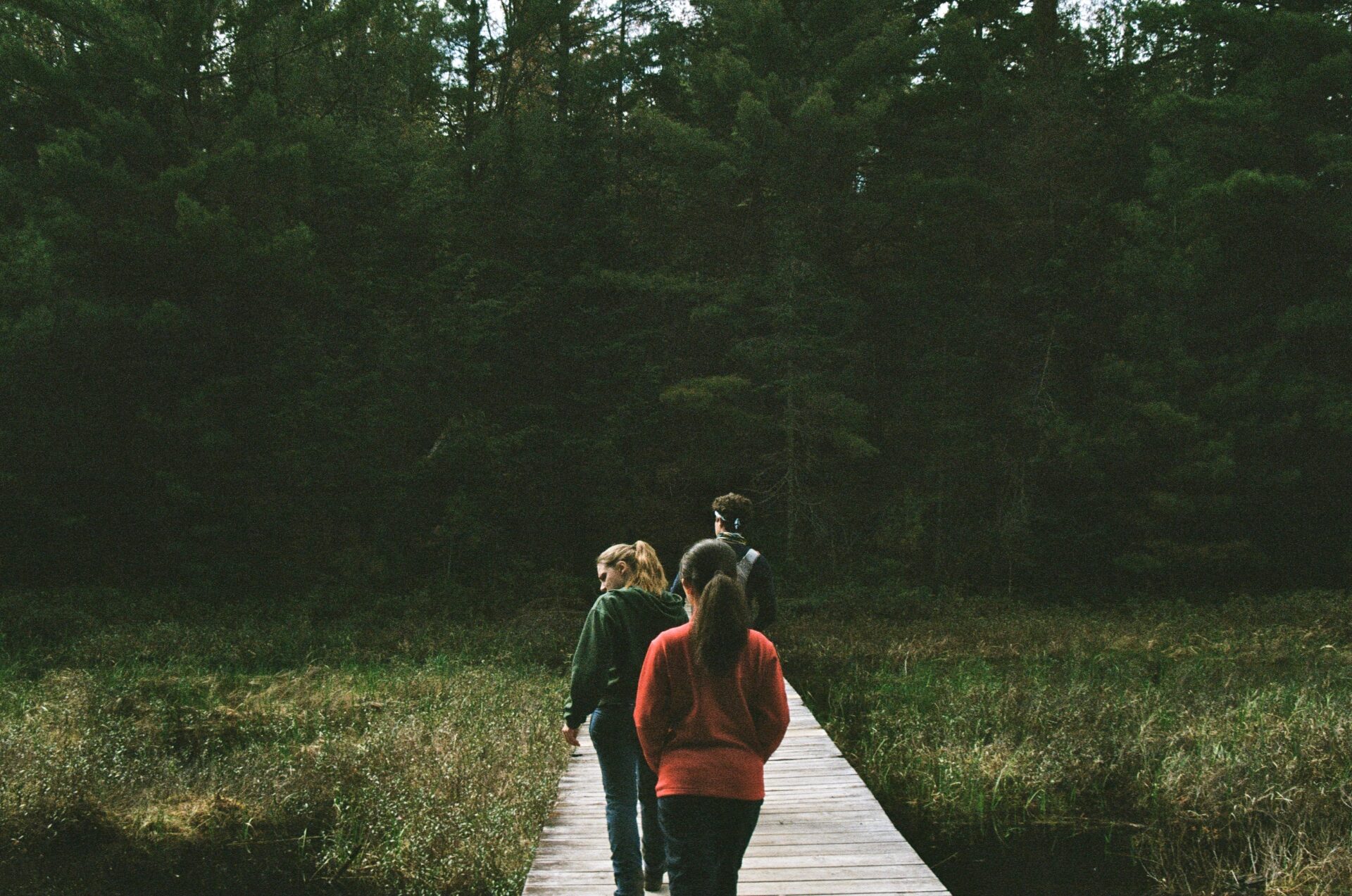 A World Forgotten: Canadian Landscapes