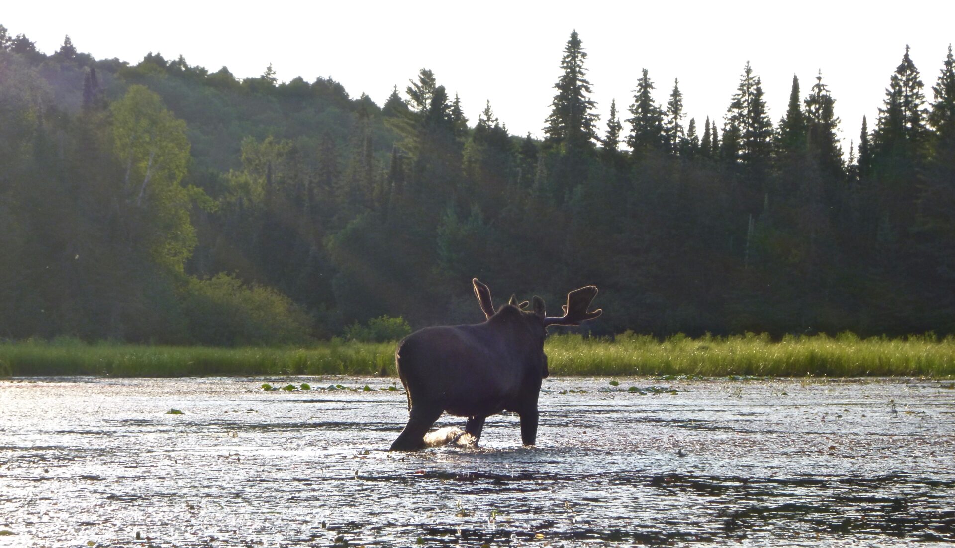 A World Forgotten: Canadian Landscapes