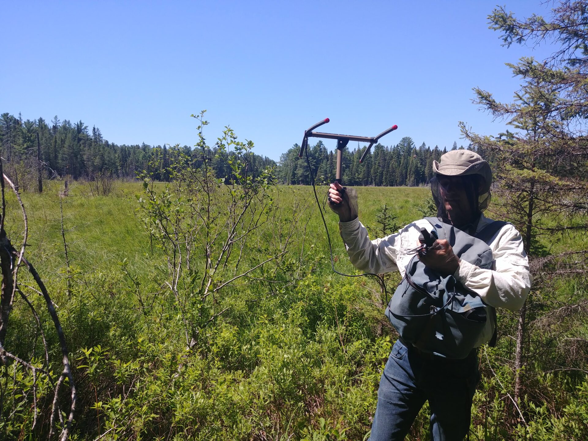 Where do Canada Jays go on summer vacation?